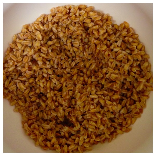 Farro Couscous – The Ancient Egyptian Grain – Vana Cooks